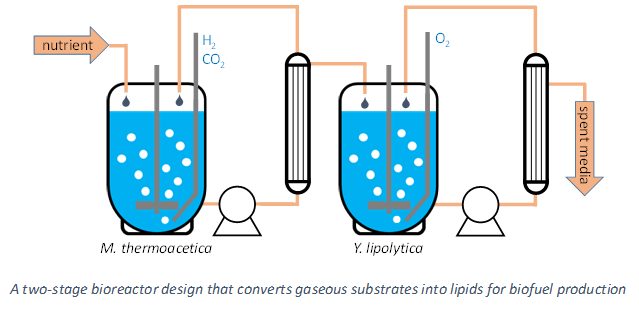Gas Fermentation – Metabolic Engineering Laboratory
