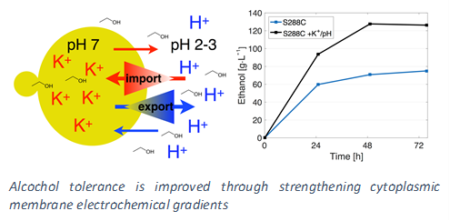 Yeast Engineering – Metabolic Engineering Laboratory